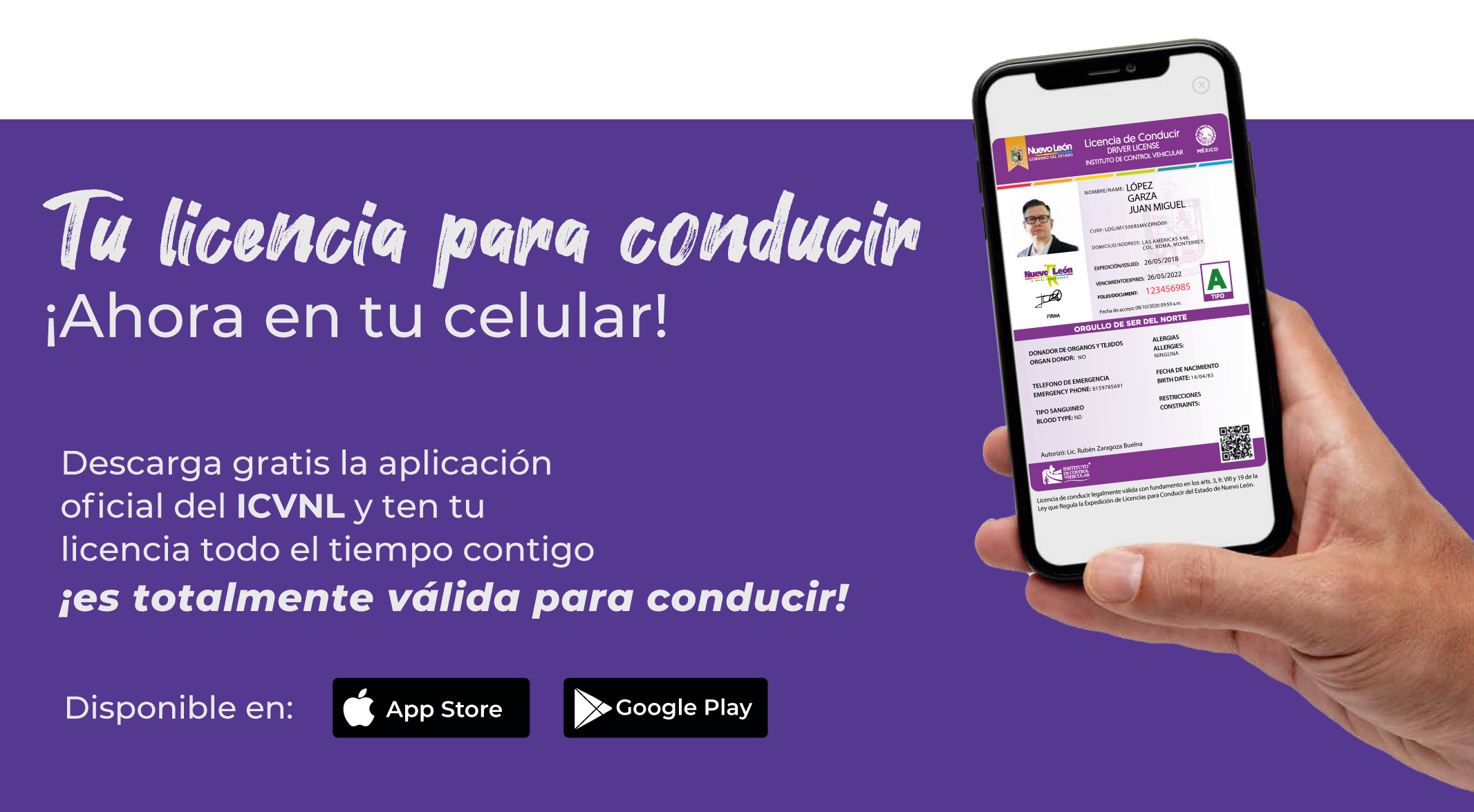 Instituto de Control Vehicular